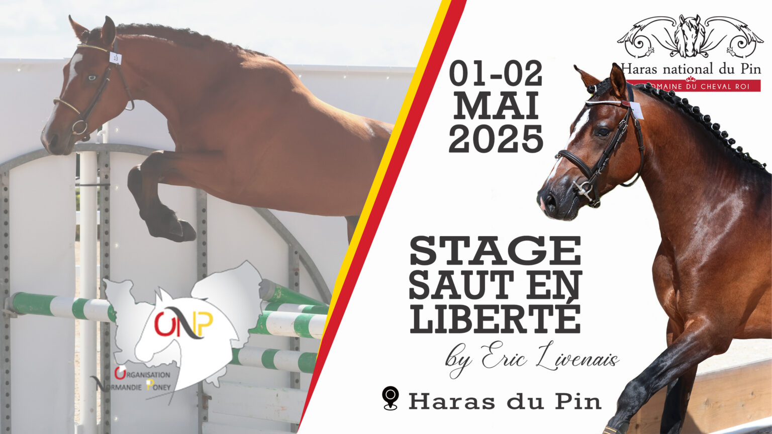 Formation «saut en liberté» animée Éric Livenais au Haras du Pin – Formation Conseil des chevaux ...